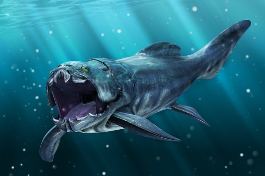 Dunkleosteus Amigos De Los Dinosaurios Y La Paleontolog a