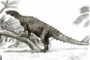Emausaurus | Amigos de los Dinosaurios y la Paleontología