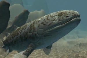 Gogonasus | Amigos de los Dinosaurios y la Paleontología