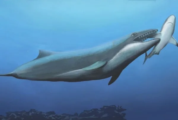 Fauna Paleógeno | Amigos de los Dinosaurios y la Paleontología