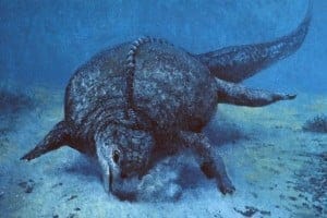 Placodus | Amigos de los Dinosaurios y la Paleontología