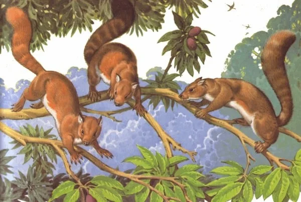 Fauna Paleógeno | Amigos de los Dinosaurios y la Paleontología