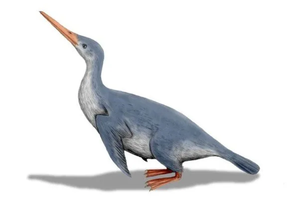 Fauna Paleógeno | Amigos de los Dinosaurios y la Paleontología